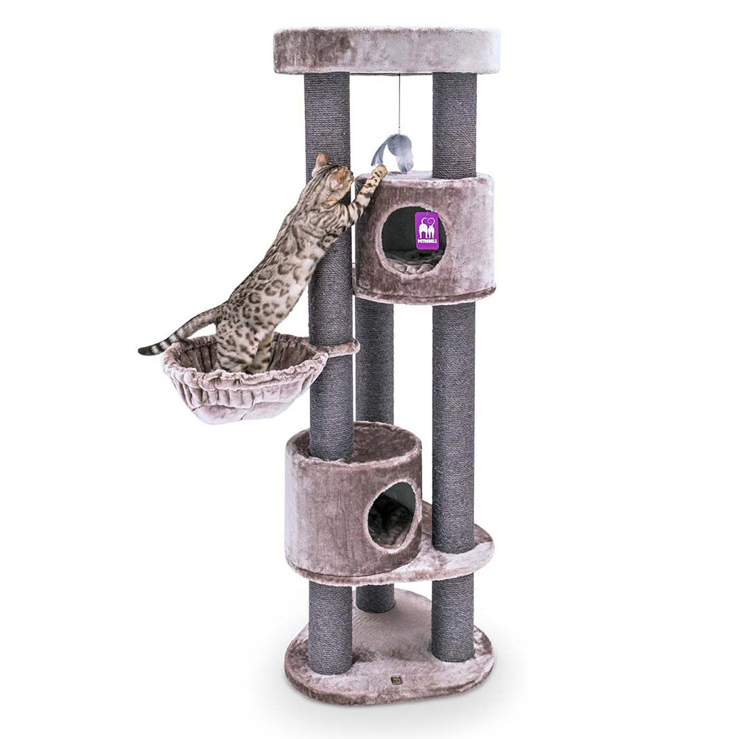 Cat Scratch Posts and Scratching Trees | Lords & Labradors