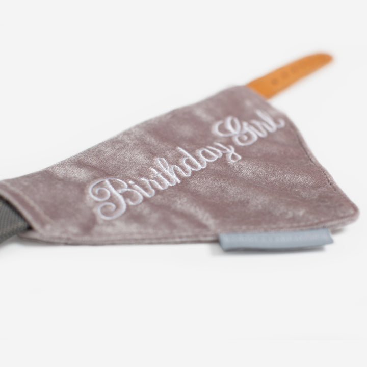 Ways To Celebrate Your Puppies Birthday | L&L Info Hub – Lords & Labradors