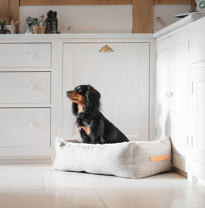 Cockapoo Beds, Collars, and Accessories | Lords & Labradors