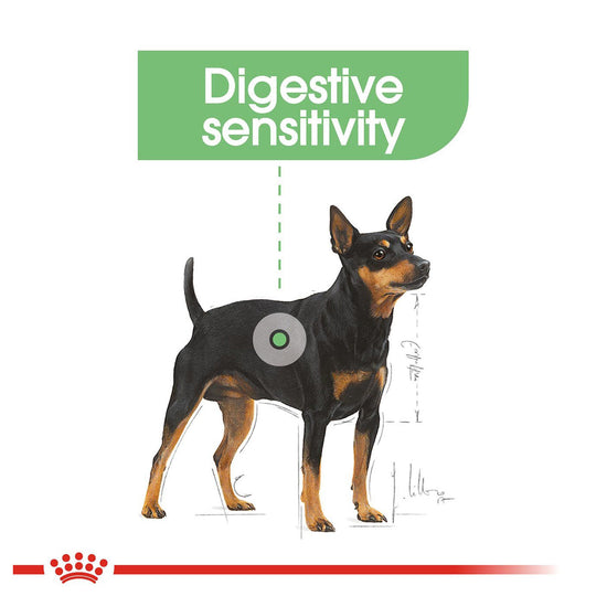 Mini Digestive Care Dry Dog Food | Royal Canin | Lords & Labradors