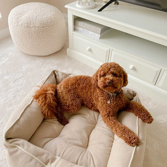 Savanna Oatmeal Box Bed For Dogs | Luxury Dog Beds | Lords & Labradors
