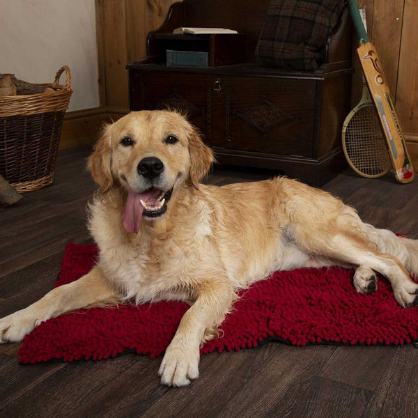 Scruffs Noodle Dry Mat | Dog Drying | Lords & Labradors