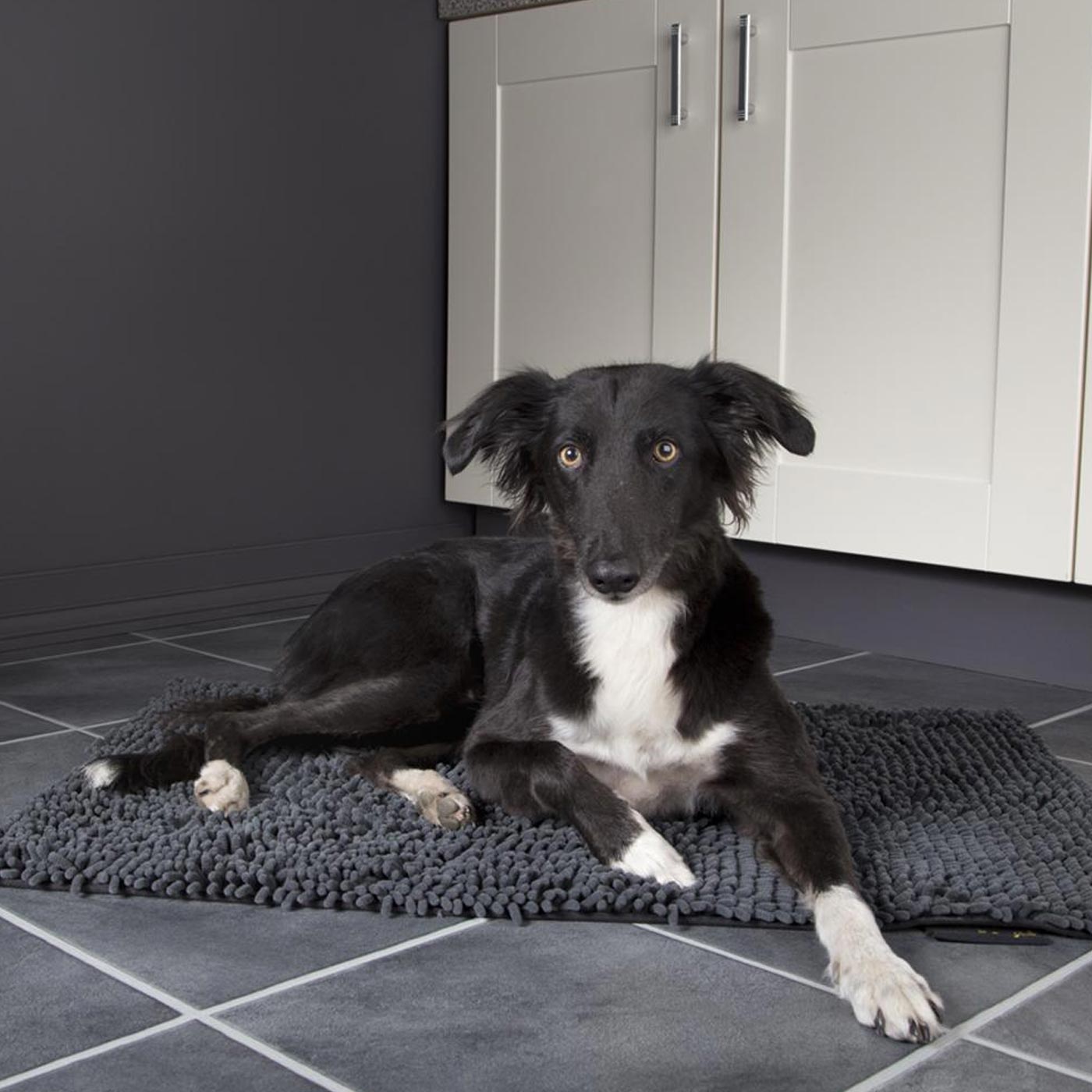 Scruffs Noodle Dry Mat | Dog Drying | Lords & Labradors