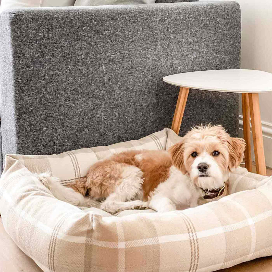 Luxury Dog Beds | Unique, Modern Designer Dog Beds | Lords & Labradors